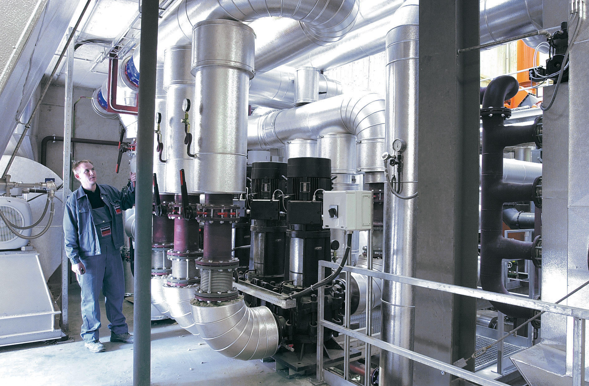 Biostrom Häusle, Lustenau